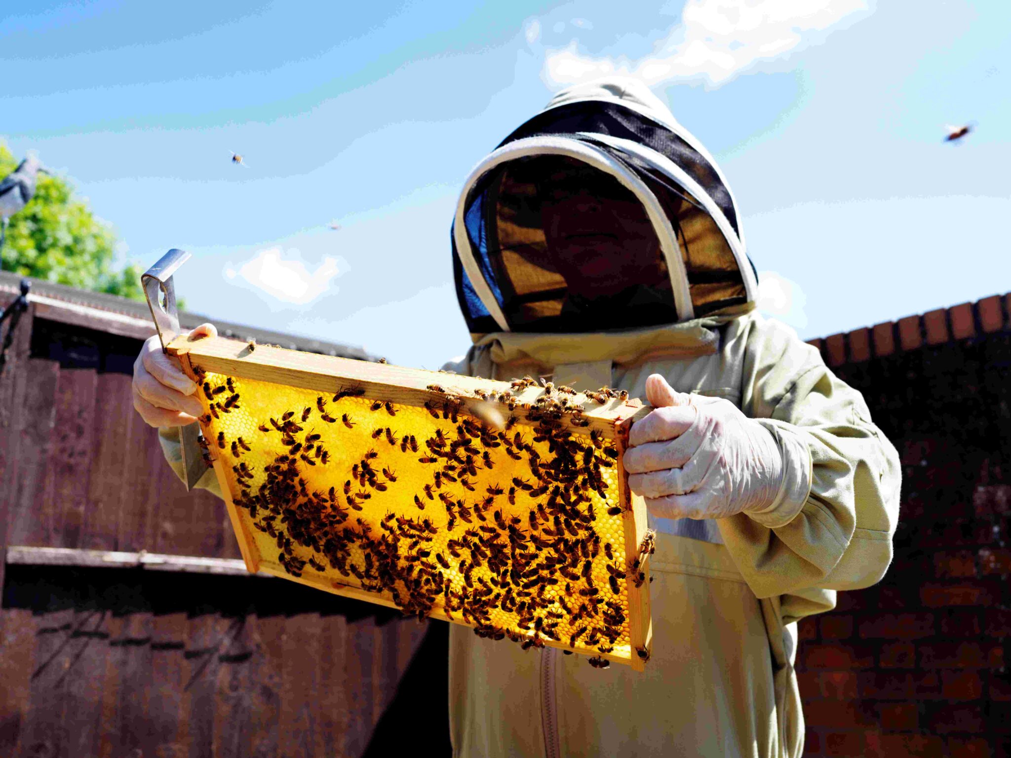 defra | Civil Service Careers