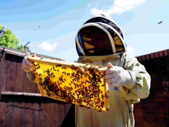 defra | Civil Service Careers