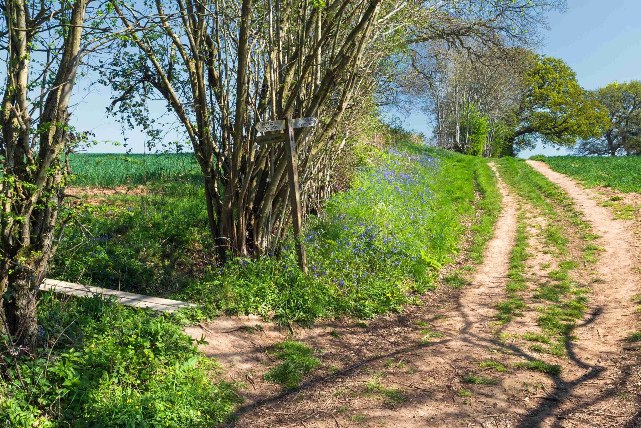 Defra – About defra | Civil Service Careers